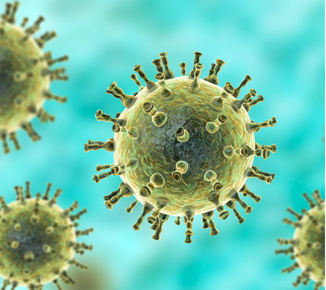 Know more about Shingles | Uncover the facts